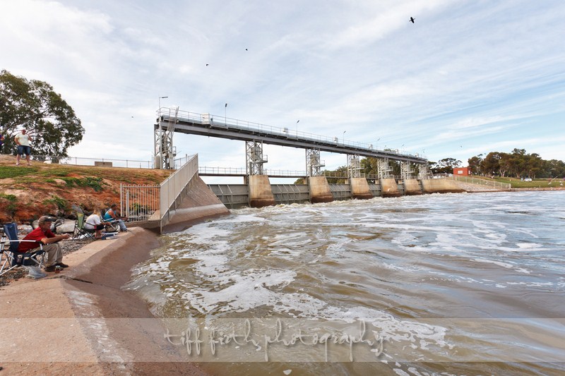 Tiff Firth: Menindee Lakes